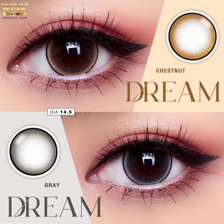 คอนแทคเลนส์(บิ๊กอาย) Dream Chestnut / Gray (Wink) ⭐️ลายฮิต ขายดีมาก ...