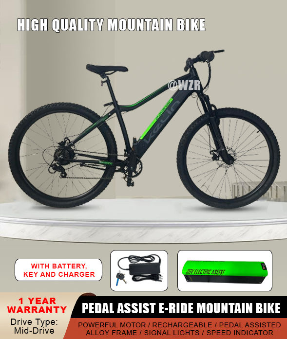 Bike for adult Electric Bike Rechargeable Electric Bike Speed Bike with ...
