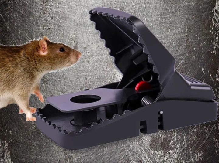Quick-Snap Mouse Trap Control Rat Trap Killer Reusable Mouse trap Bait ...