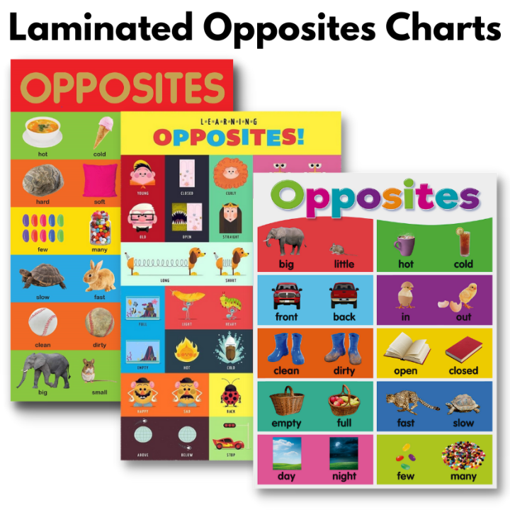 Laminated Opposites Charts for Kids, Learners and Students, Educational ...