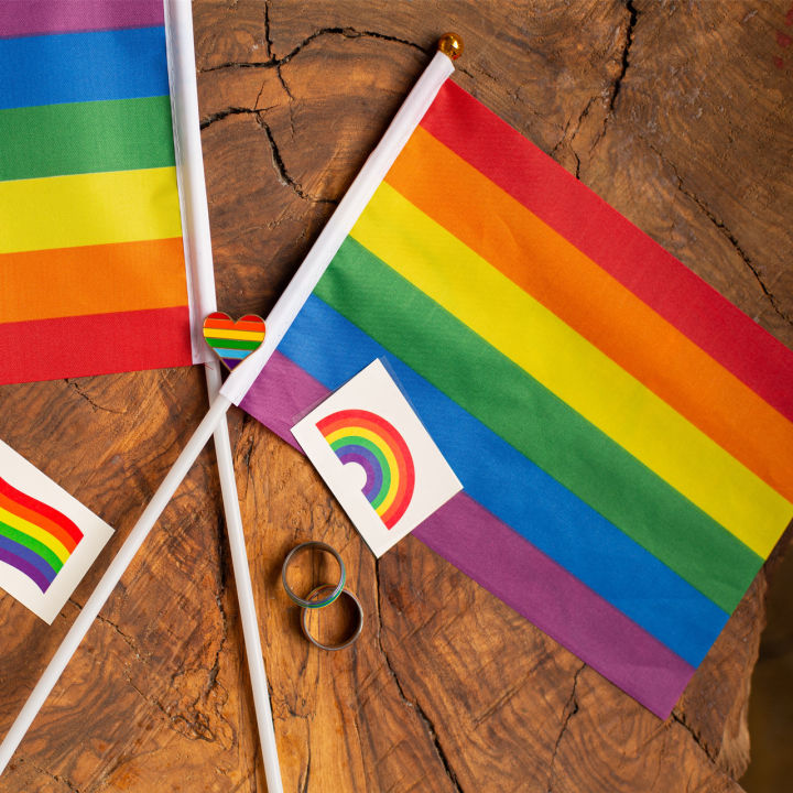 10PCS Rainbow Small Flag Polyester Hand Waving Flags Pride Banners ...
