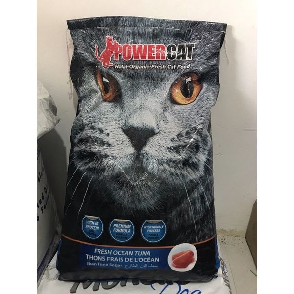 Power cat kitten and adult | Lazada PH