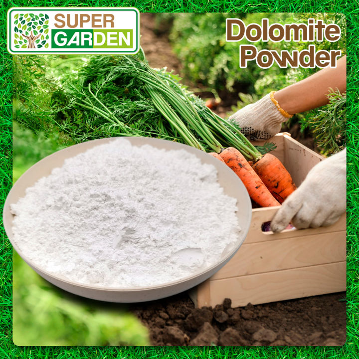 Dolomite Powder 1KG Super Subur Gardening Fertilisers Baja Organic Baja ...