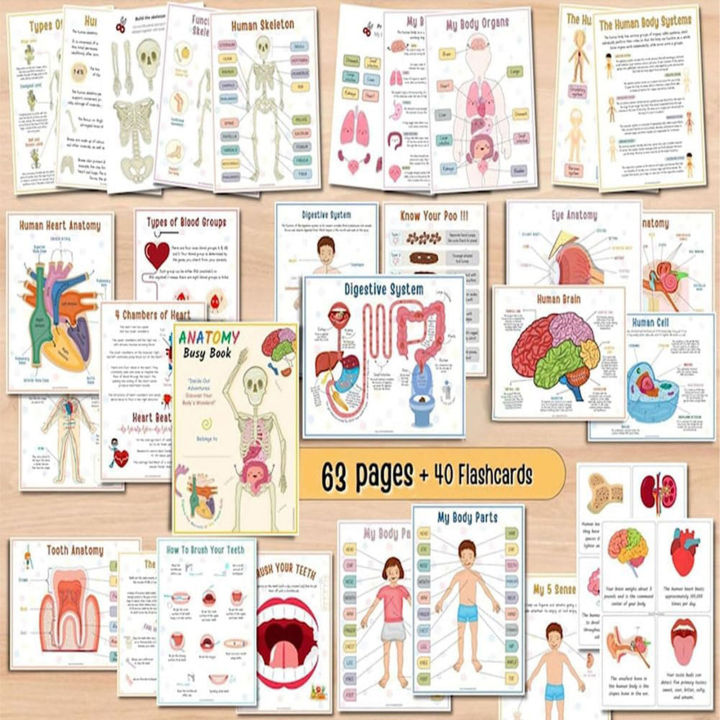 Kids Anatomy Busy Book Interactive Human Anatomy Book Interactive Human ...