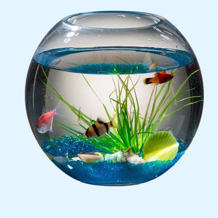COD Round Sphere Vase Transparent Glass Fish Tank #12 | Lazada PH