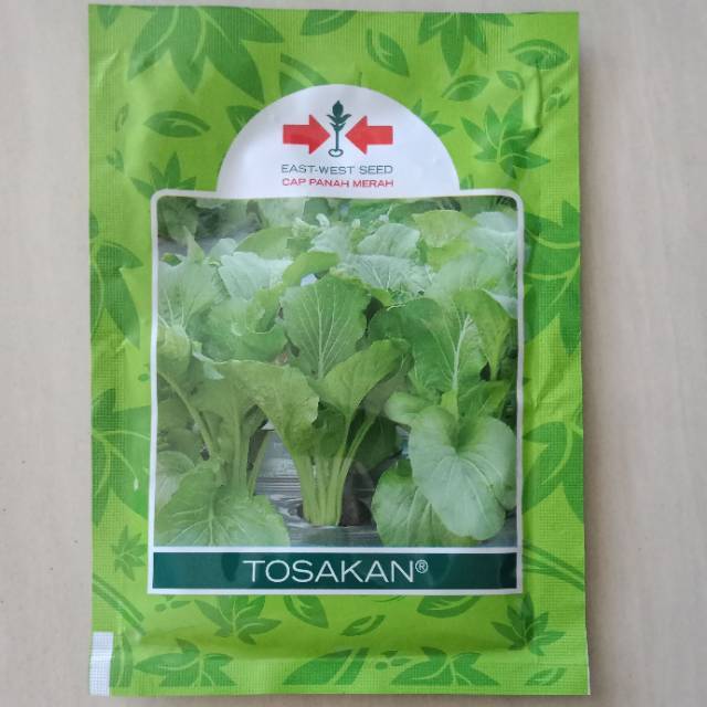benih sawi tosakan-cap panah merah | Lazada Indonesia