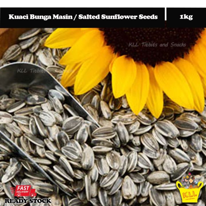 Kuaci Bunga Masin / Salted Sunflower Seeds - 1kg | Lazada