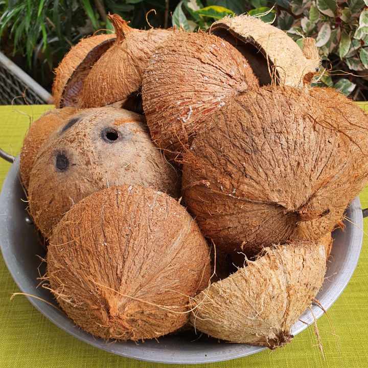 Coconut Shell (6kgs) Php180 | Lazada PH