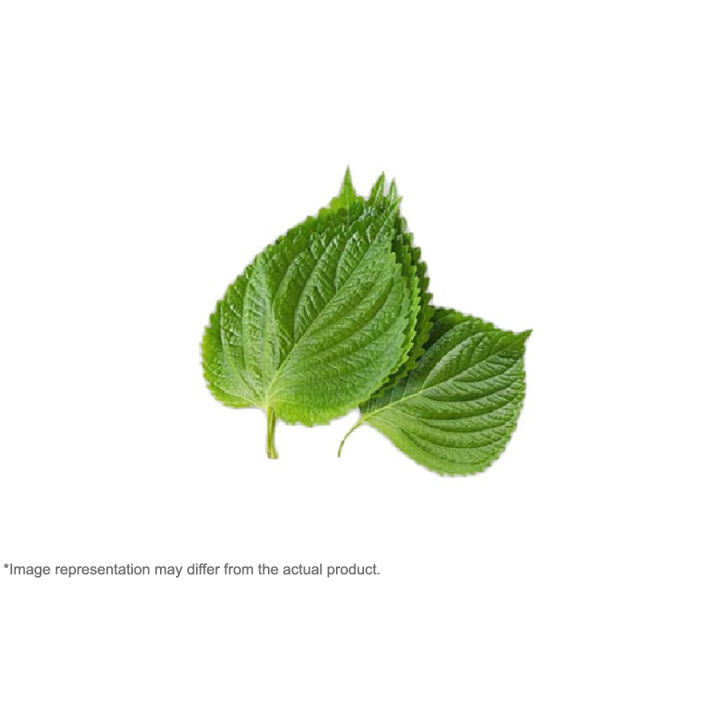 Fresh Sesame Leaves (30g) - [Same Day Delivery cut off at 10:59AM ...