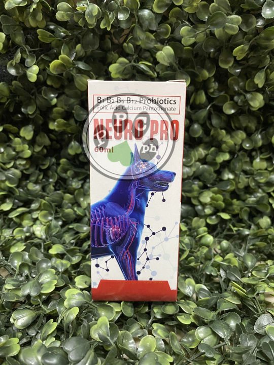 Neuro pro 60ml Vitamin B Complex with Probiotics for Dogs | Lazada PH