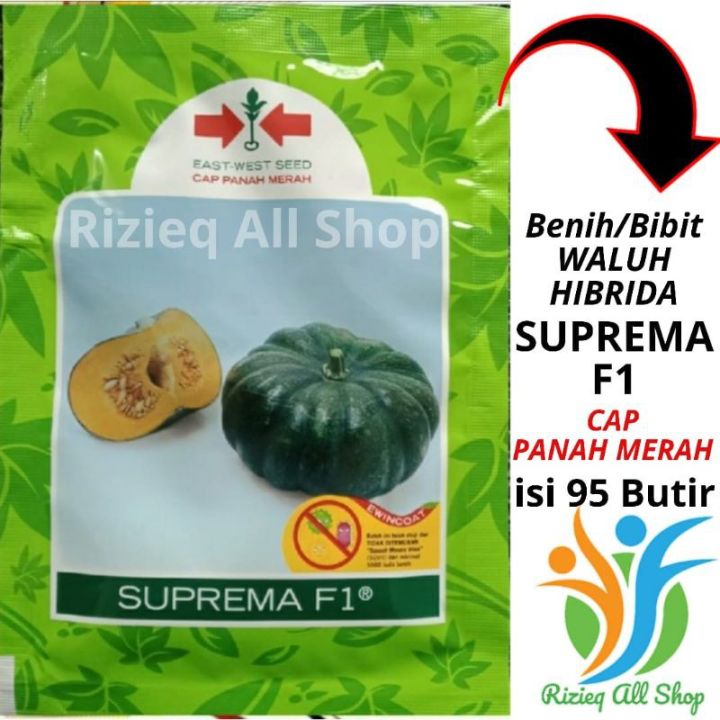 Benih Waluh Hibrida SUPREMA F1 20 Gram | Lazada Indonesia