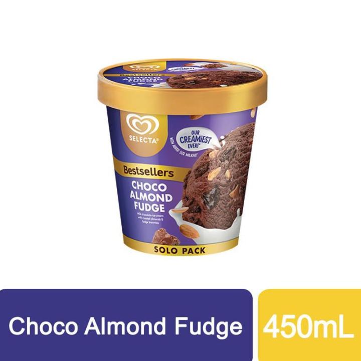 Selecta Ice Cream Choco Almond Fudge 450ml | Lazada PH