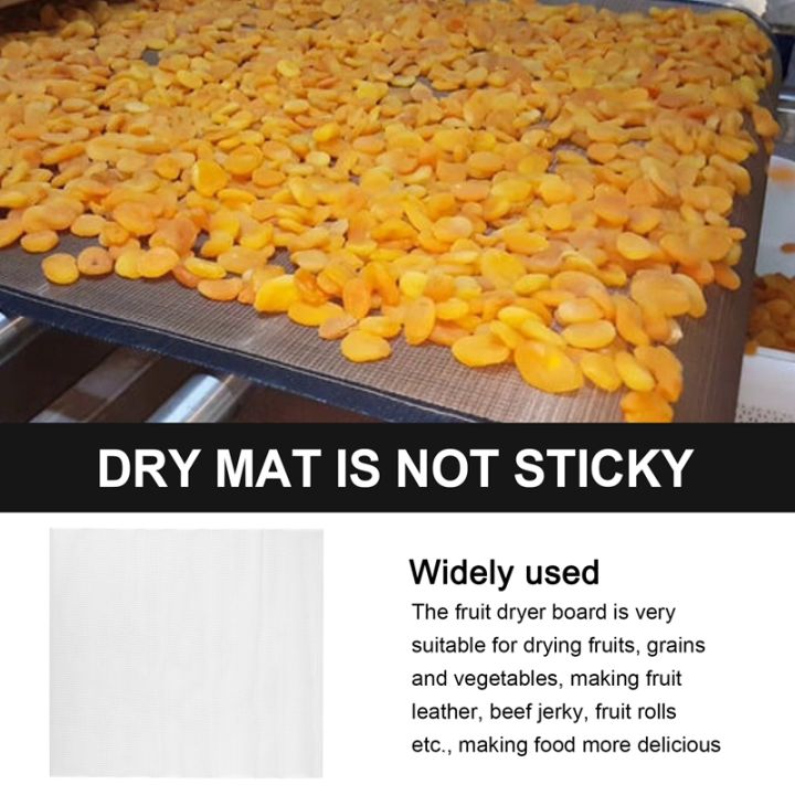 Non-Stick Silicone Dehydrator Sheets,Fruit Dehydrator Mats Reusable ...