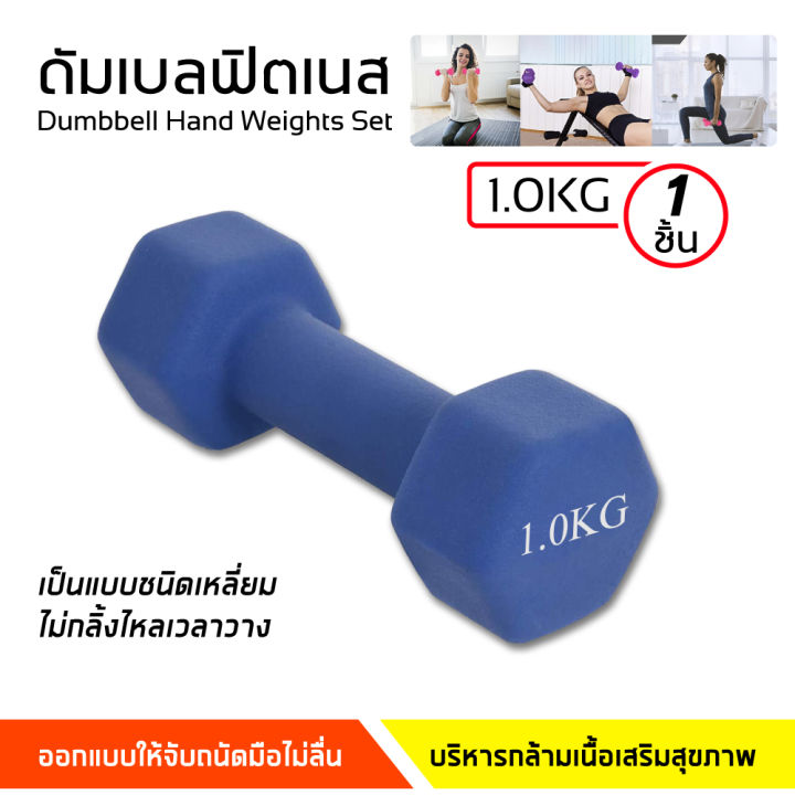 ดัมเบล Dumbbells สำหรับลดไขมันต้นแขน ออกกำลังกาย ฟิตเนส 1ชิ้น | Lazada ...