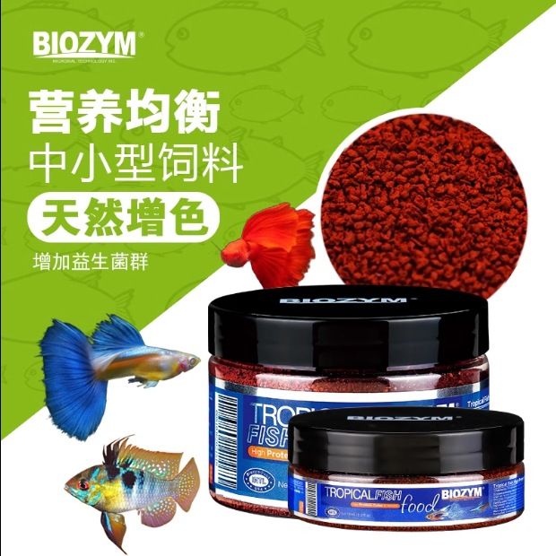 Opeisnm Baiyinmei Aquarium Ornamental Small Trcal Pea Mary Red Arrow ...