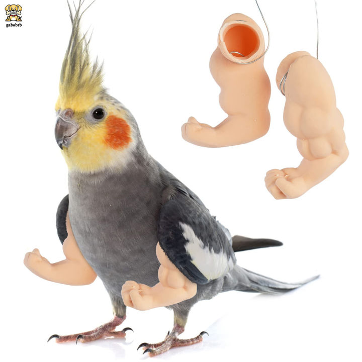 gababrb Strong Muscle Arms Chicken Toys Artificial Chicken Forelimb ...