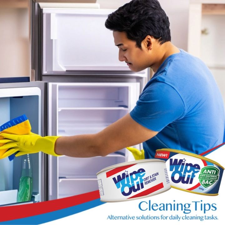 Wipe Out WipeOut Cleaner Dirt and Stain Remover Car Cleaner Cleaning ...