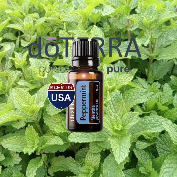 doTERRA Peppermint Essential Oil 15ml 100% original (instant delivery ...