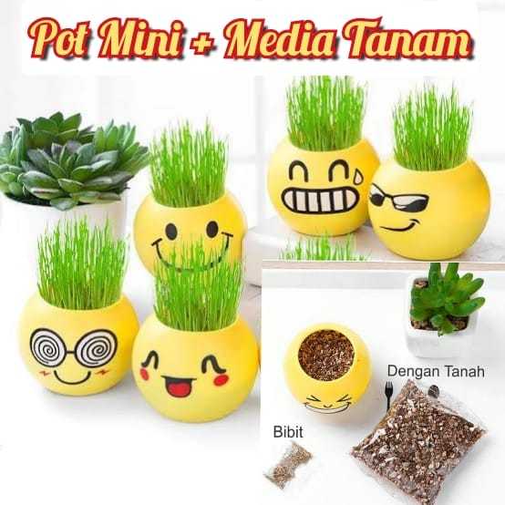 Ralali Tanaman Hias Dekorasi Rumah Pot Mini Emoji Lucu - Pot Bunga ...