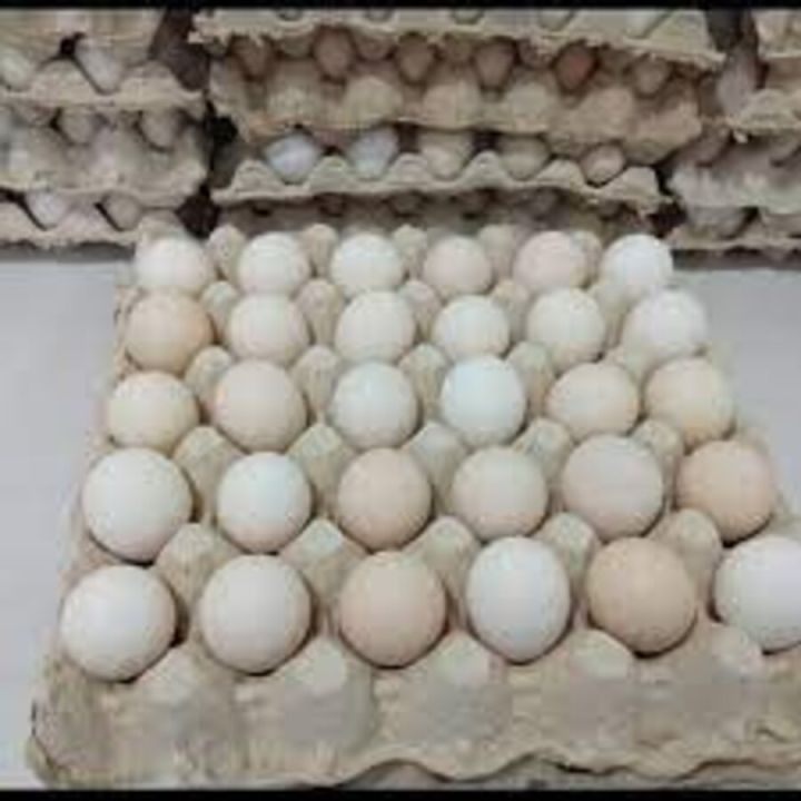 Telur Ayam Kampung Segar Asli - Pilihan Isi 1, 5, dan 10 Butir | Lazada ...