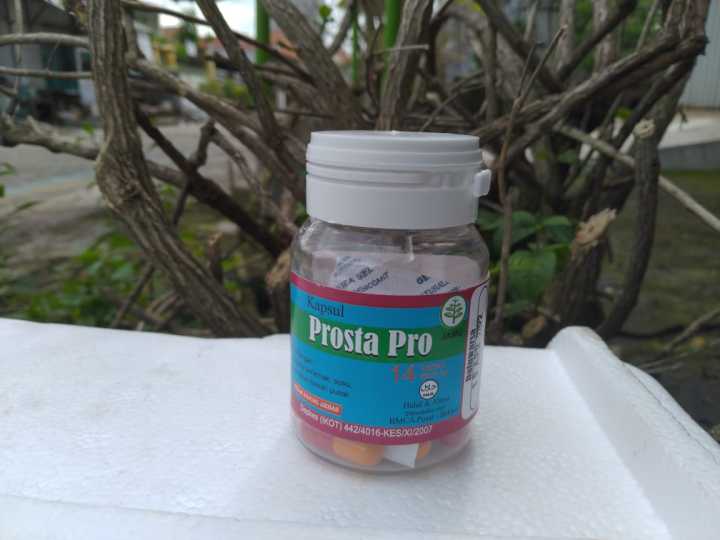 Kapsul Prosta Pro | Lazada Indonesia