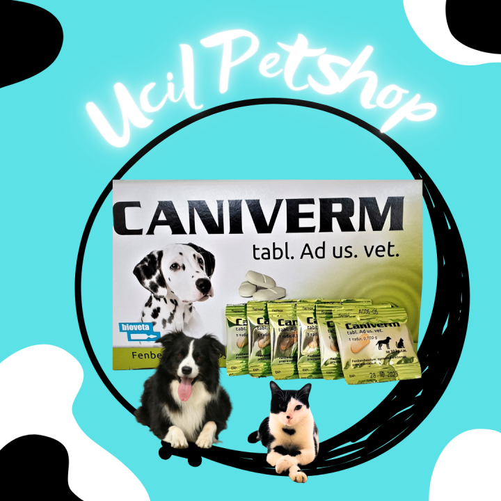 Caniverm Obat Cacing Kucing Anjing (1 Tablet) | Lazada Indonesia