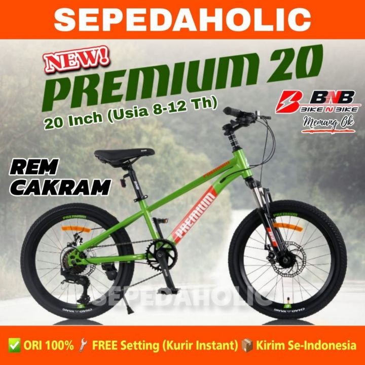 Sepeda Gunung Anak MTB BNB PREMIUM Ukuran 20 Inch Usia 8-12 Tahun | Lazada Indonesia
