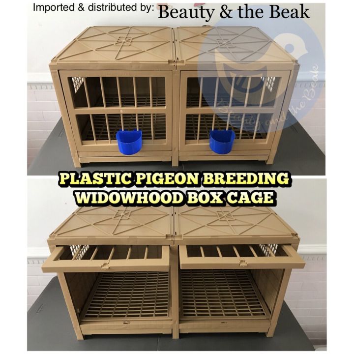 Pigeon Plastic Breeding Widowhood Box Cage High Quality Stackable ON ...