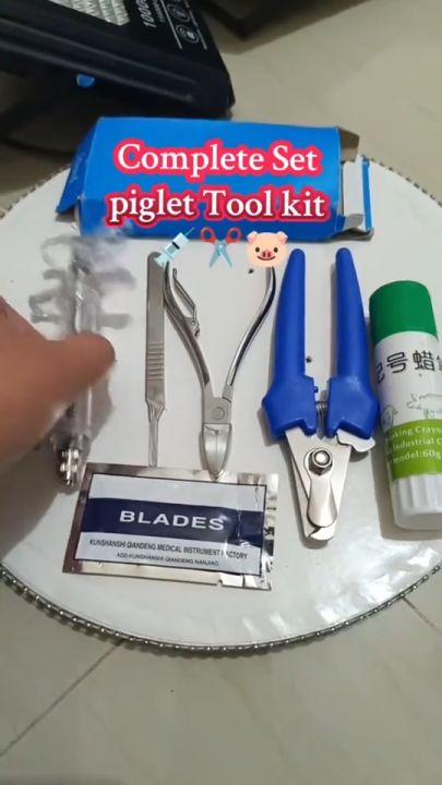 Piglet Care Tool Set Tail Cutter Stainless Steel Livestock Tooth Cutter ...