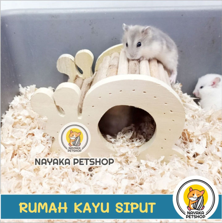 Rumah Kayu Hamster Bentuk Siput Wooden Home Kandang Tupai House Sarang ...