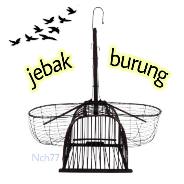 JEBAK MEMIKAT BURUNG MERBAH JAMBUL @ BIRDS TRAP BULBUL | Lazada
