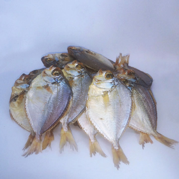 D&A Driedfish Sapsap MIXED SIZE | Lazada PH