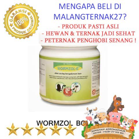 1 POT WORMZOL B isi 10 BOLUS Obat Cacing Sapi Kerbau Kuda obat cacing ...