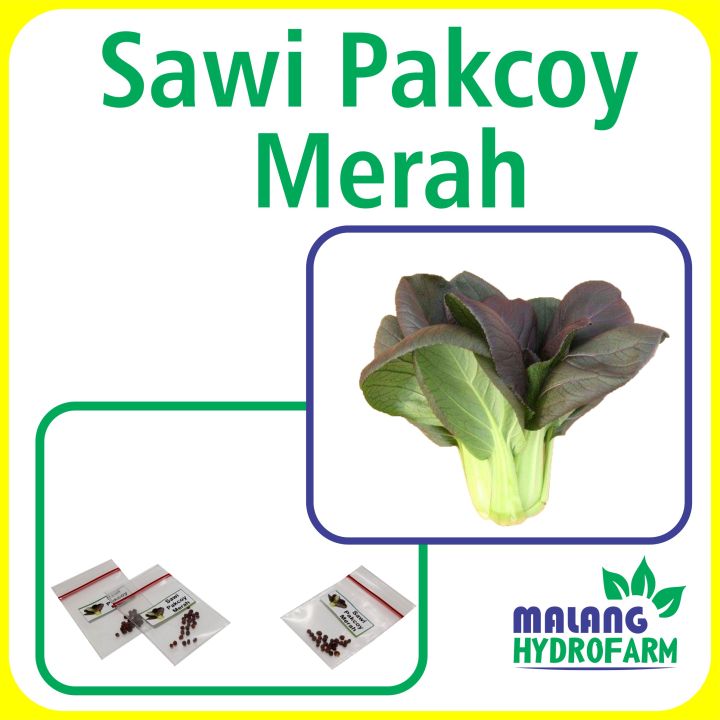 Benih Sawi Pakcoy Merah Unggulan Berkualitas repack sayuran sayur ...