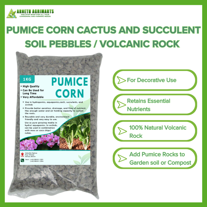 PUMICE CORN 1 KG | Lazada PH