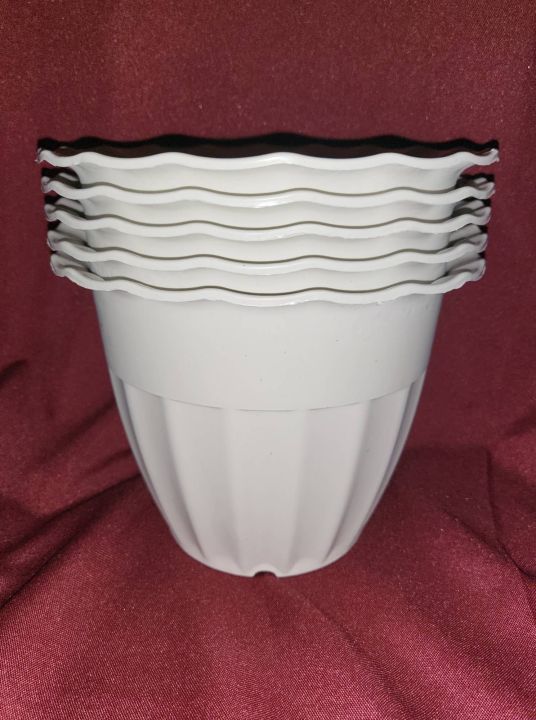 5PCS PER ORDER - 25 PESOS PASO 8X6 INCHES - 5PCS POTS FOR PLANTS FOR ...