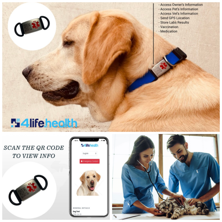 Pet Dog & Cat ID Tag with QR Code + Passive GPS Alert + Vet & Owner ...