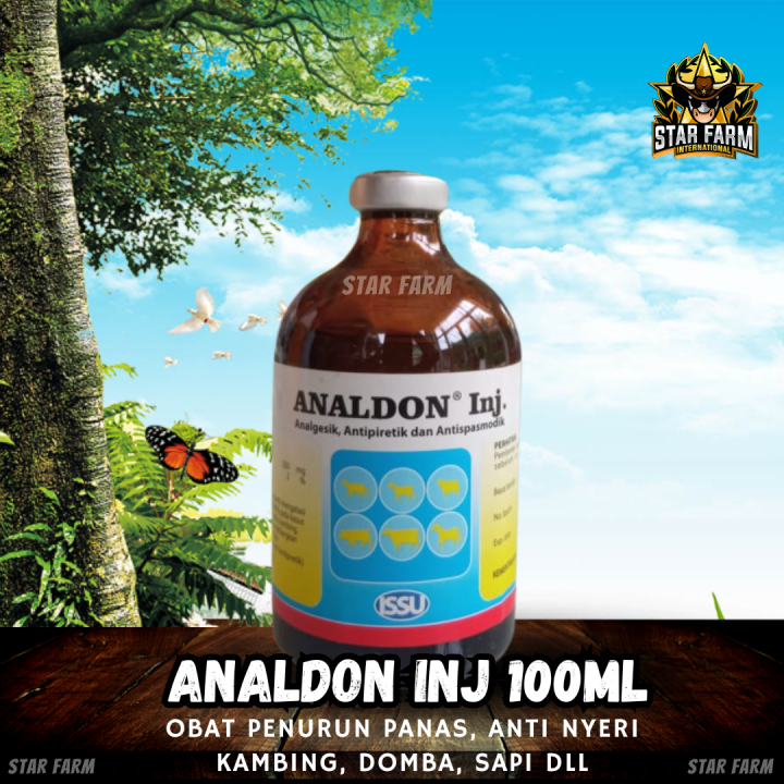 ANALDON INJ 100 ML Obat Analgesik dan Antipiretik - Star Farm | Lazada ...