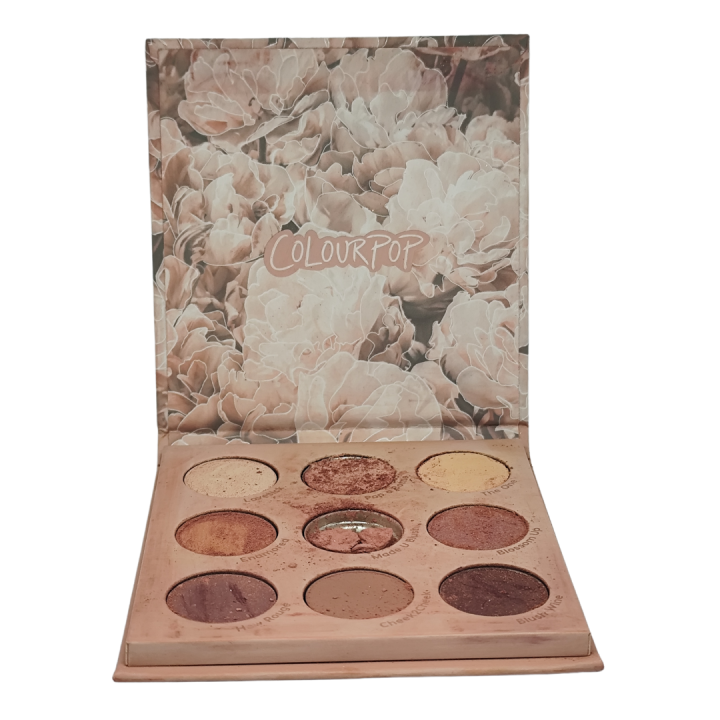 Authentic Damaged Makeup Powder Foundation, Blush, Bronzer and ...