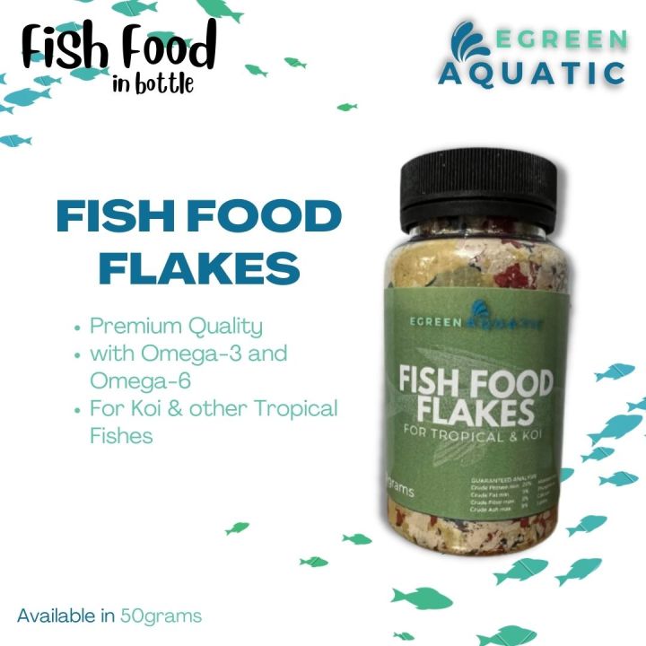 FISH FOOD FLAKES in a Bottle 50g | Lazada PH