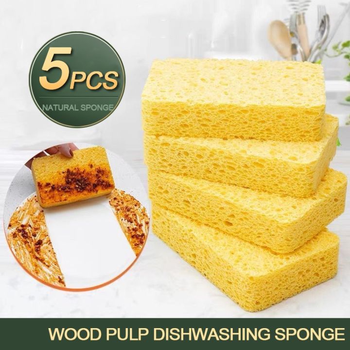 Ecoplanet COD#5pcs 100% Compostable Dishwashing Sponge Eco-Friendly ...