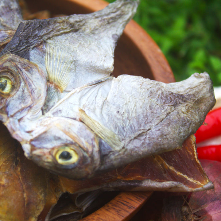 BONELESS UNSALTED CEBU DRIED DANGGIT | MEDIUM TO BIG SIZE | DRY FISH ...