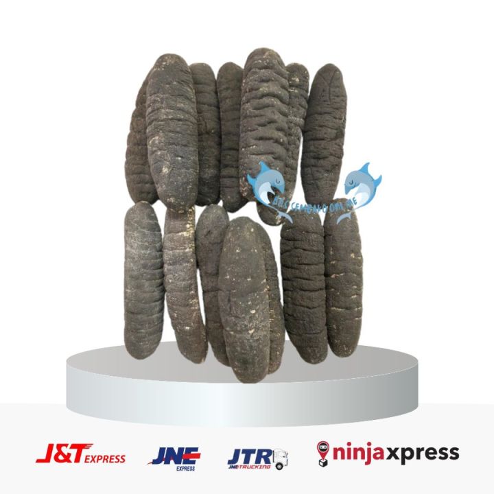 Haisom/ Teripang / lintah laut/ sea cucumber asli BELITUNG isi 10 500g ...