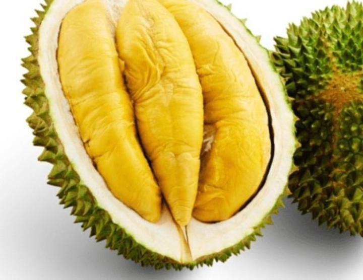 Durian D24 500g/1 whole fruit | Lazada Singapore