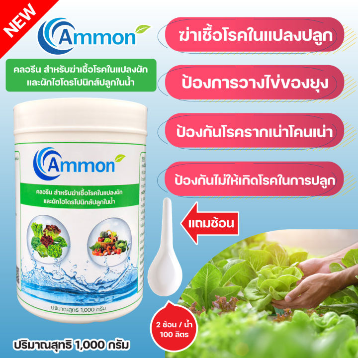 คลอรีนชนิดเข้มข้น ใช้เตรียมแปลงผัก ใช้นิดเดียวป้องกันเขียวและโคนเน่า ...