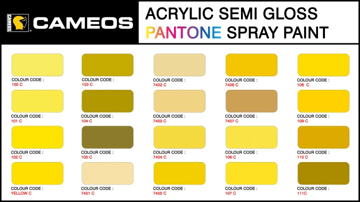 PANTONE Color P1 - Aerosol Spray Paint - CAMEOS 400ML/Bottle | Lazada