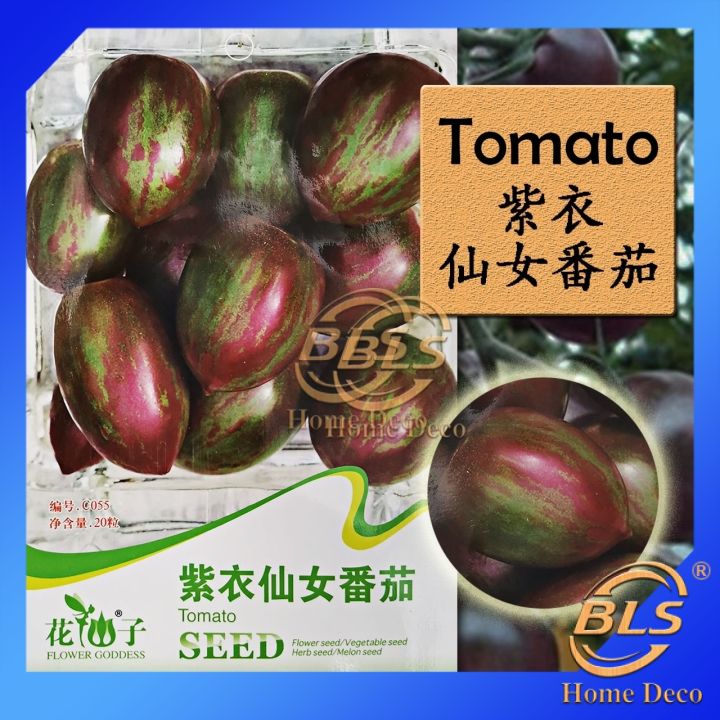 【EXPIRED】BIJI BENIH C055 TOMATO FLOWER GODDESS VEGETABLE FLOWER FRUIT ...