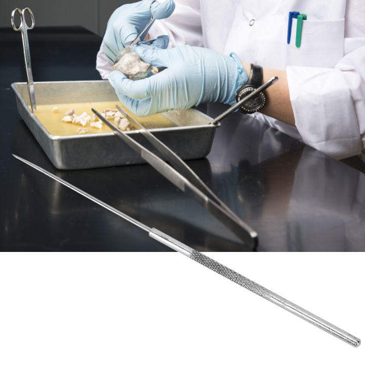 Experiment Equipment Dissection Needle Tool 5Pcs Insect Dissection ...