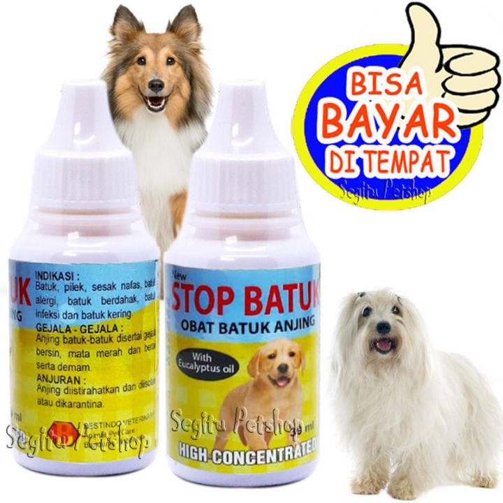Obat Batuk Anjing Sakit Pilek Flu Infeksi Pernapasan Stop Batuk Dog ...