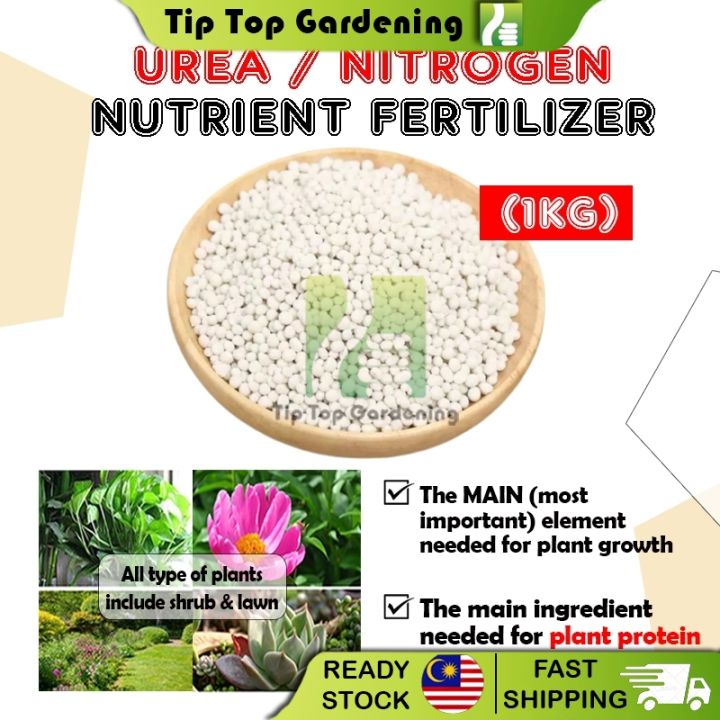 1 KG UREA FERTILIZER Formulated Urea 46%N BAJA RUMPUT POKOK TANAMAN ...